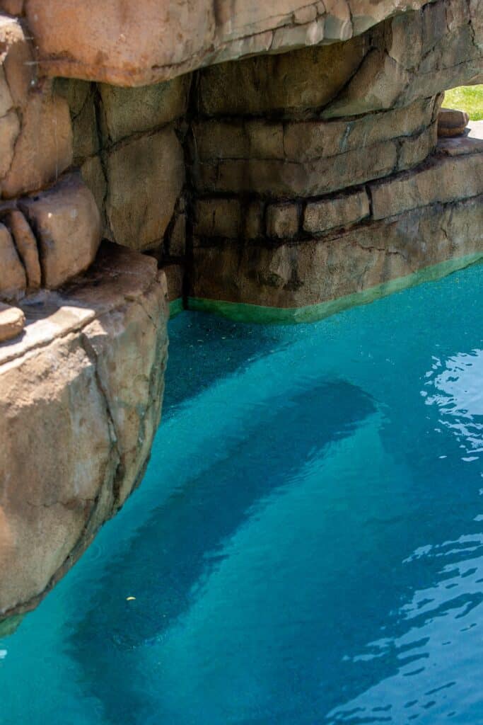 Gallery Project 7 - Taylor Made Pools, Inc